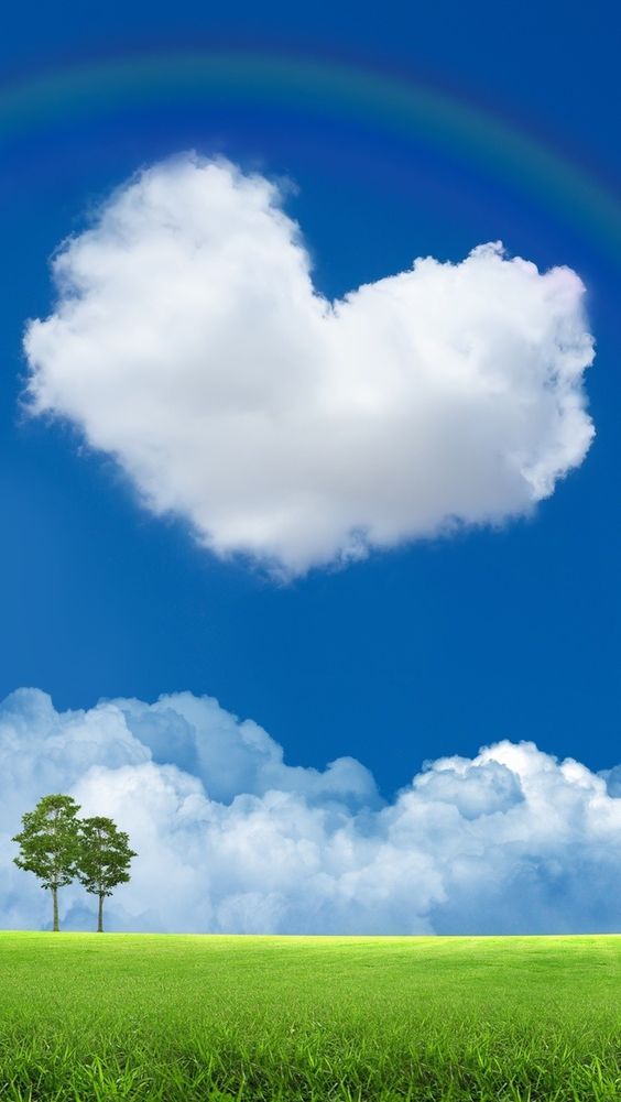 성경진리사역원(BTMK) | 사랑의 영